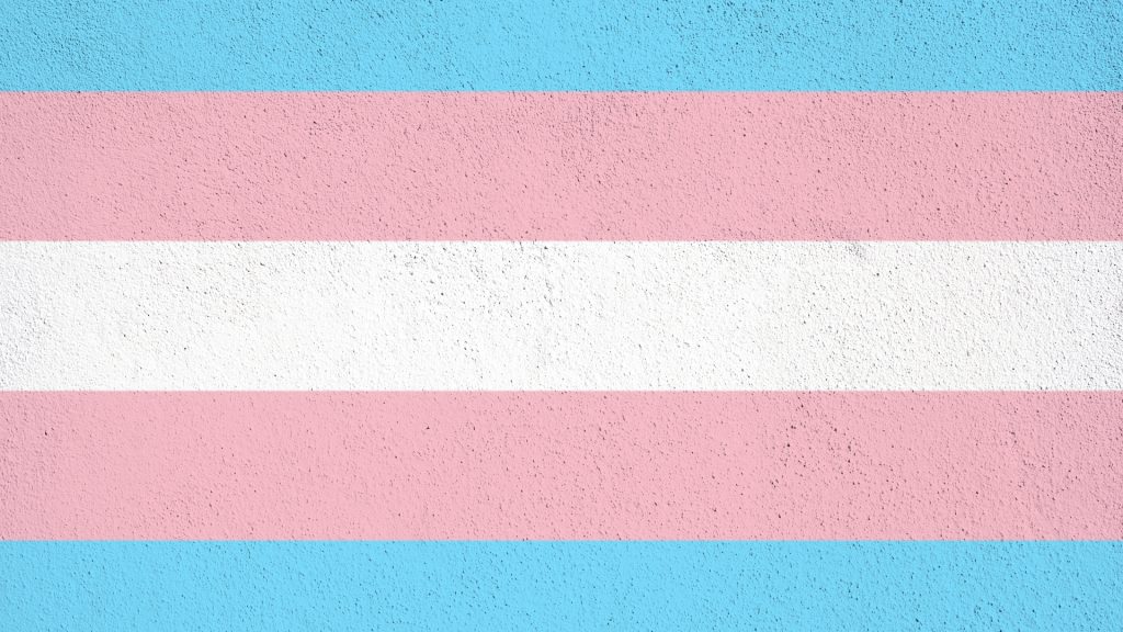 The 2026 Transgender Amendment Act: Why Gender Recognition is Also a ...